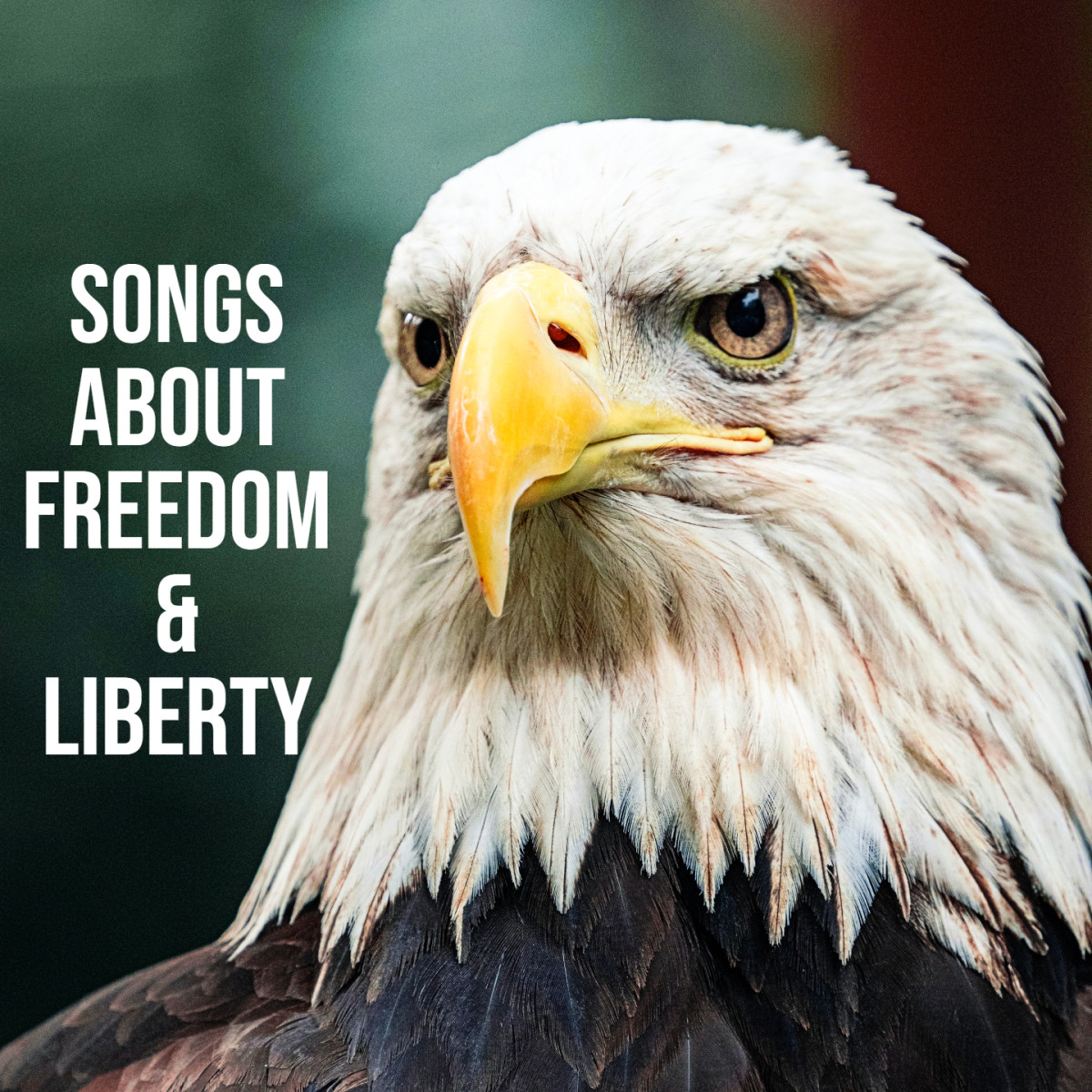 65 Songs About American Freedom - Spinditty