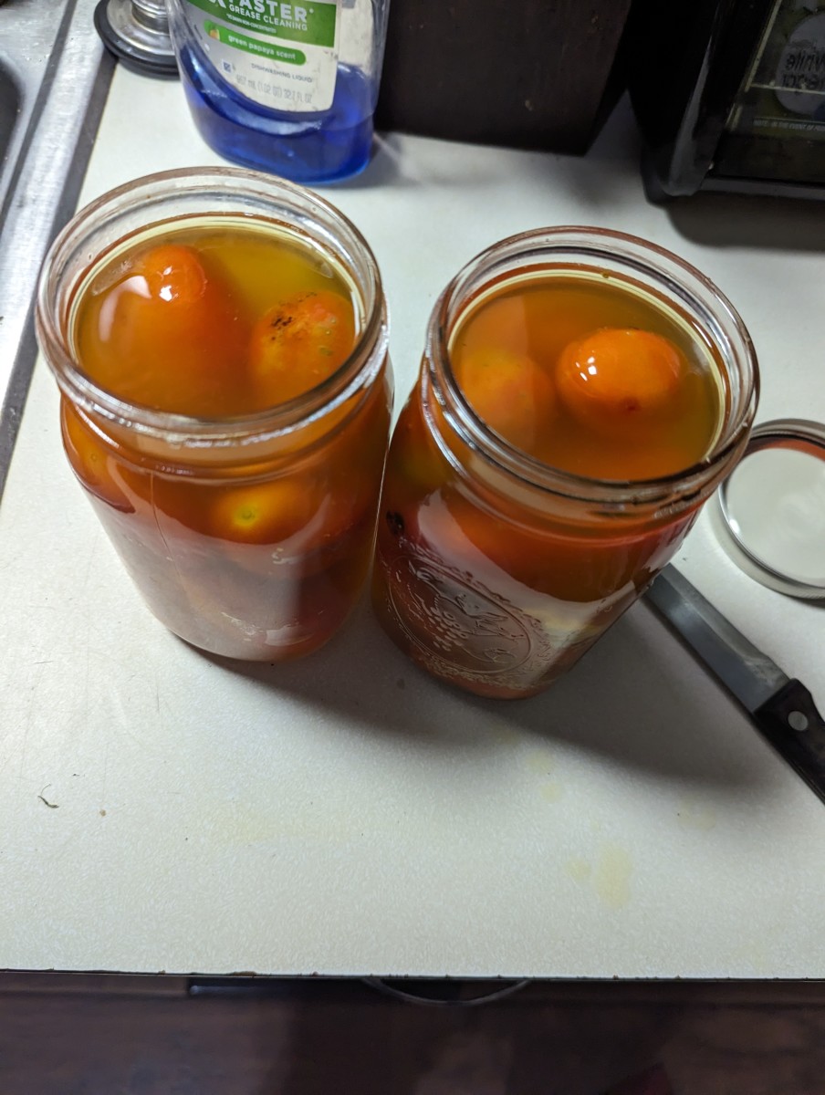 Pickled Small Tomatoes - an Experiment with PKD Brine - HubPages