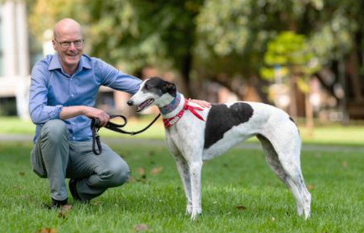 21 Best Dog Breeds for Senior Citizens - HubPages