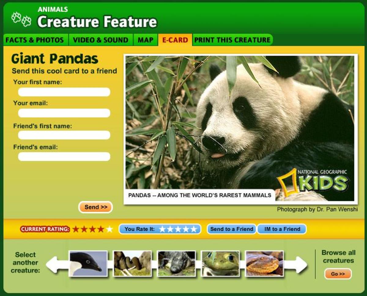 22 Ways to Enjoy Animals When You Can't Keep a Pet - HubPages