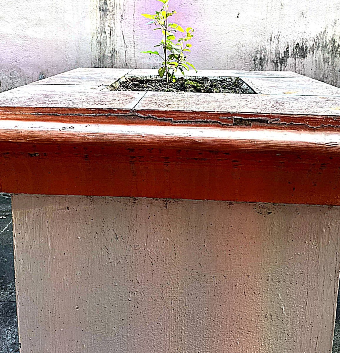 Tulsi and Thulasithara in Hindu Houses - HubPages