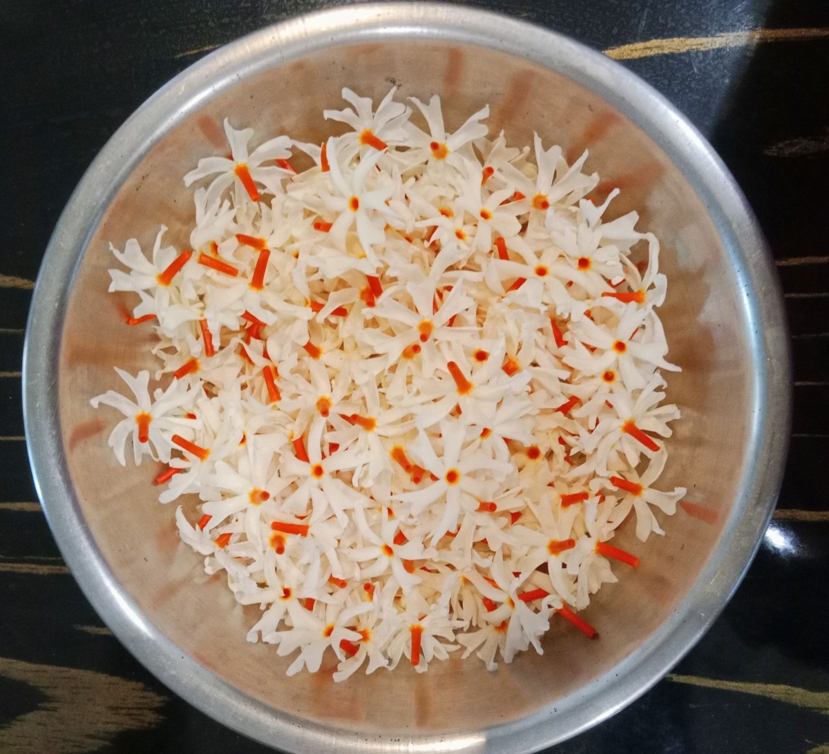 How to Grow Auspicious Parijat Flowers: Interesting Facts and Symbolism ...