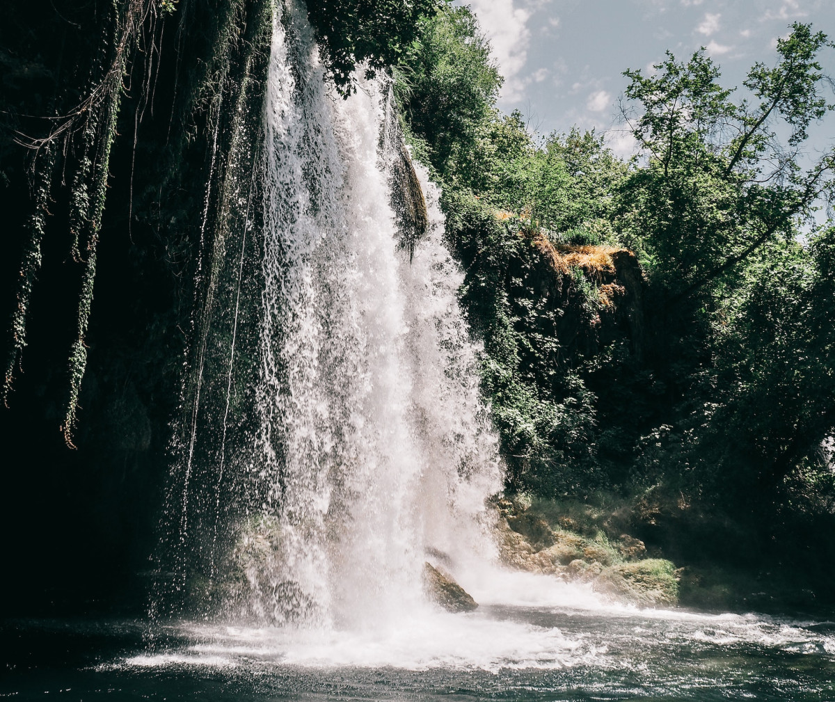 Reflections on the Tree Planted By the Water - HubPages