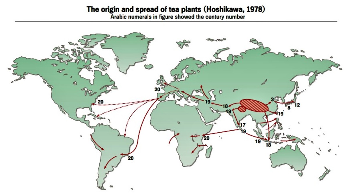 The Fascinating Journey of Tea: From Ancient Origins to Modern ...