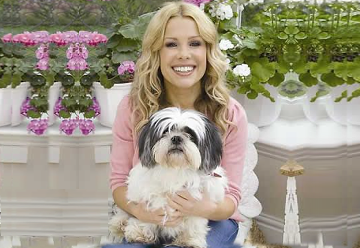 The 21 Most Affectionate Dog Breeds - HubPages