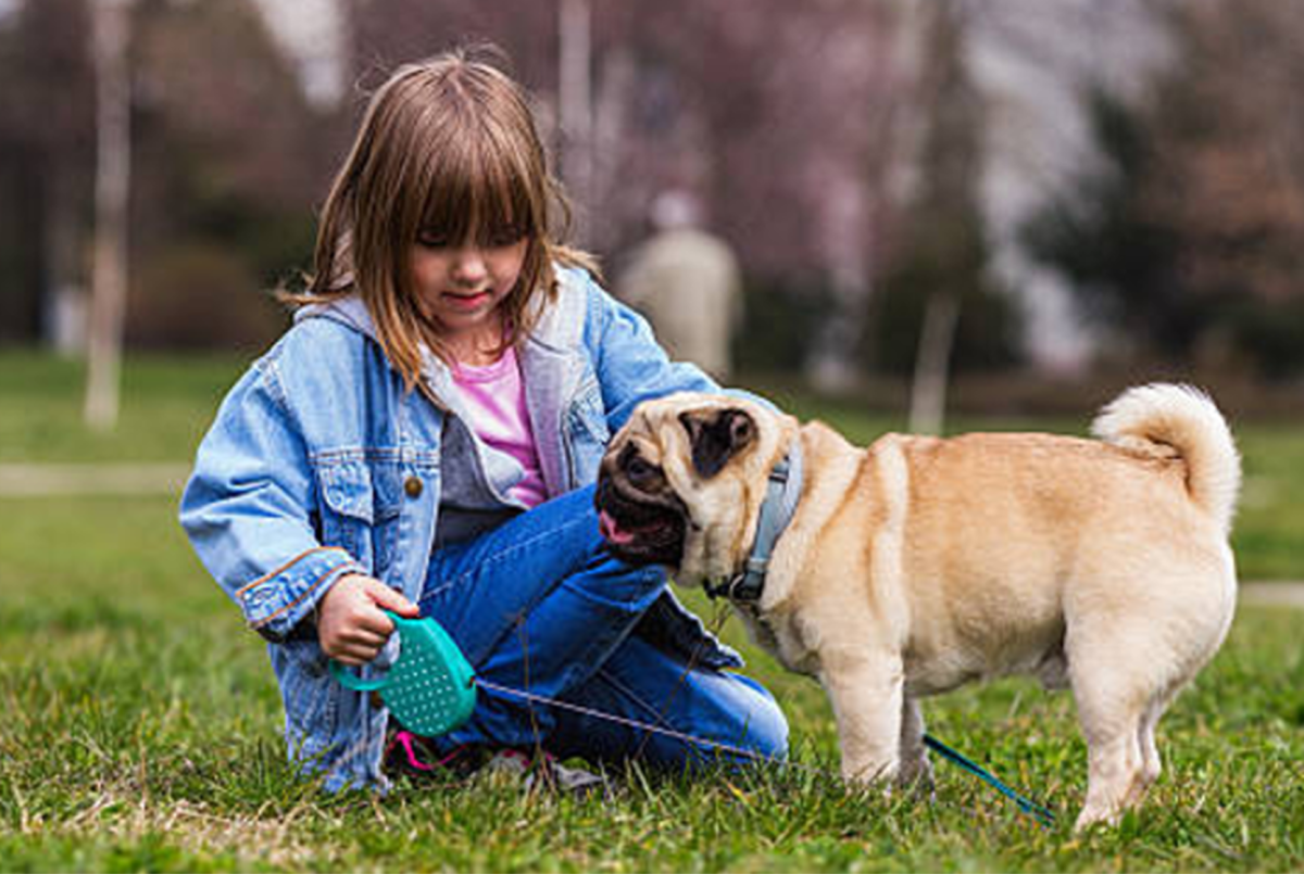 The 21 Most Affectionate Dog Breeds - HubPages