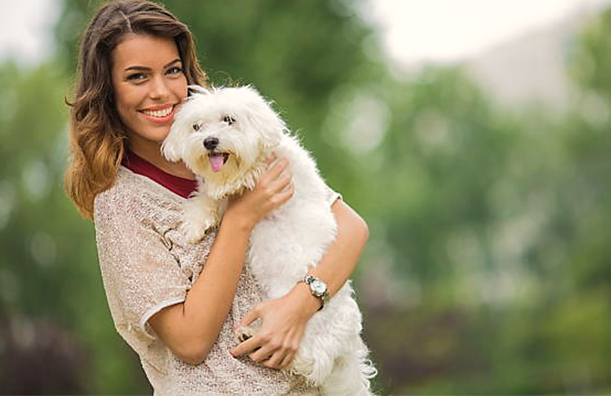 The 21 Most Affectionate Dog Breeds - HubPages