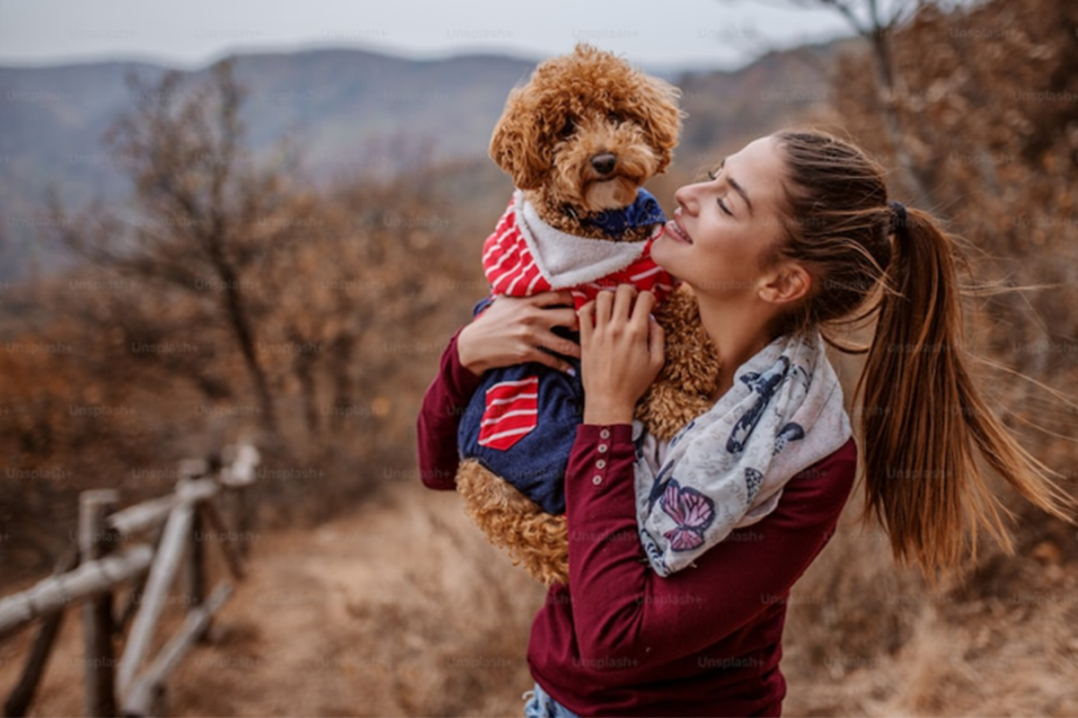 The 21 Most Affectionate Dog Breeds - HubPages