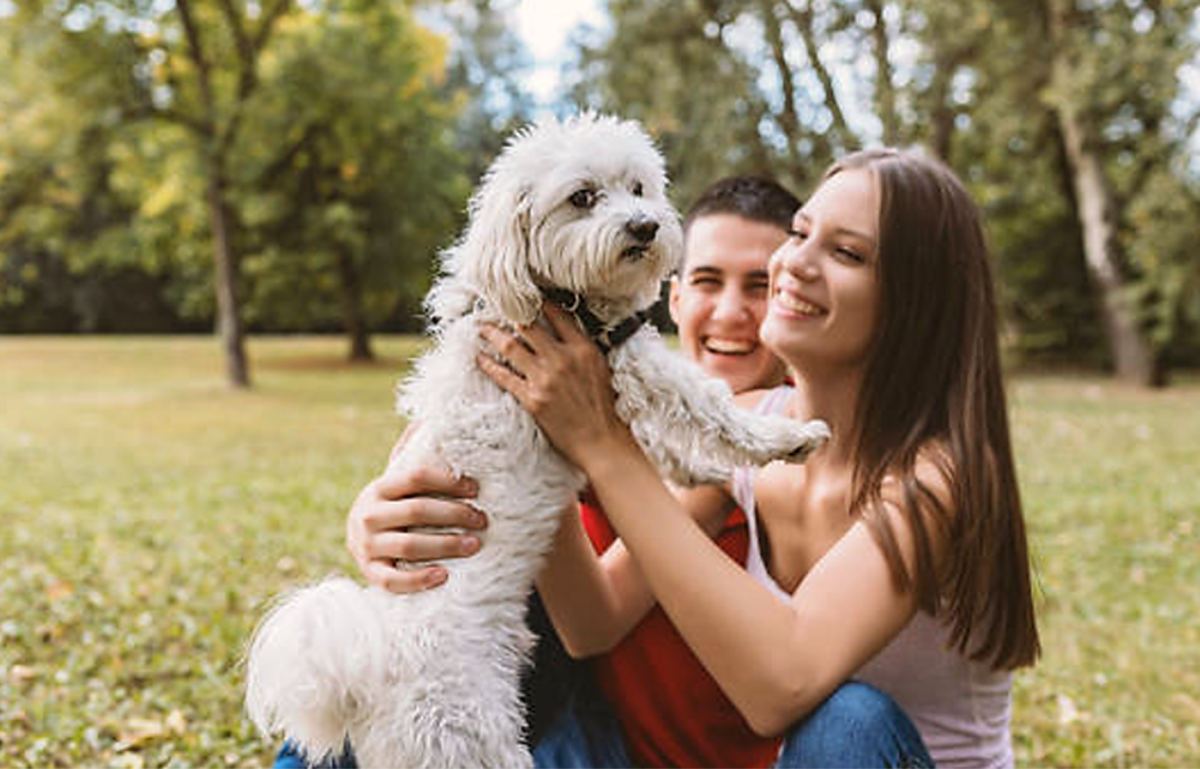 The 21 Most Affectionate Dog Breeds - HubPages