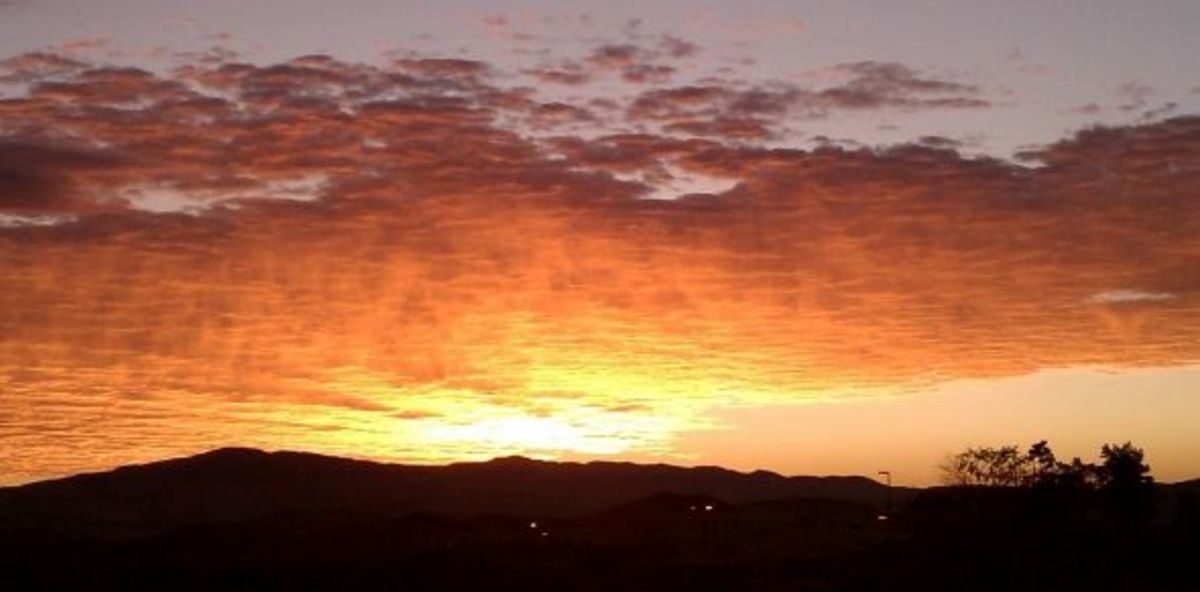 The 365 Photo Challenge - HubPages