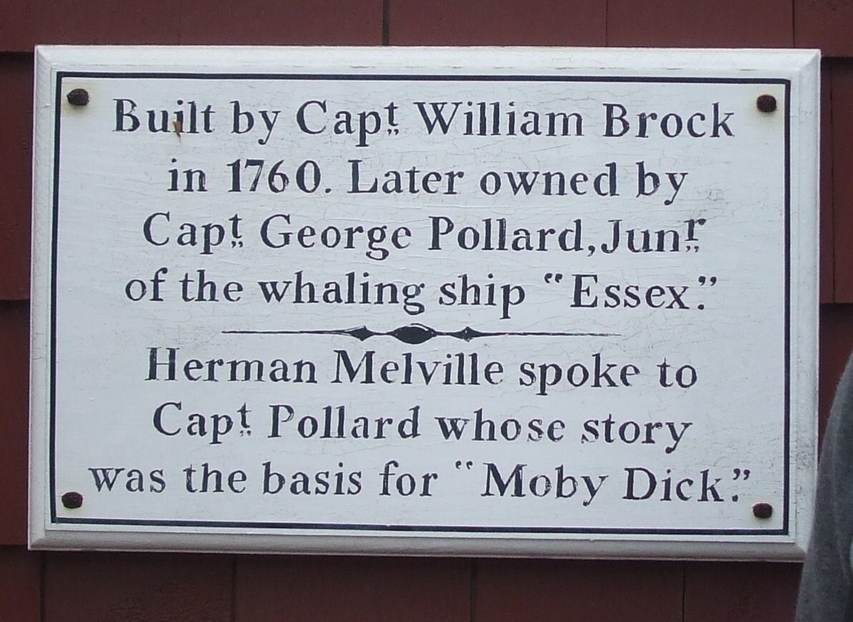 Moby Dick and the Brutality of Man - HubPages