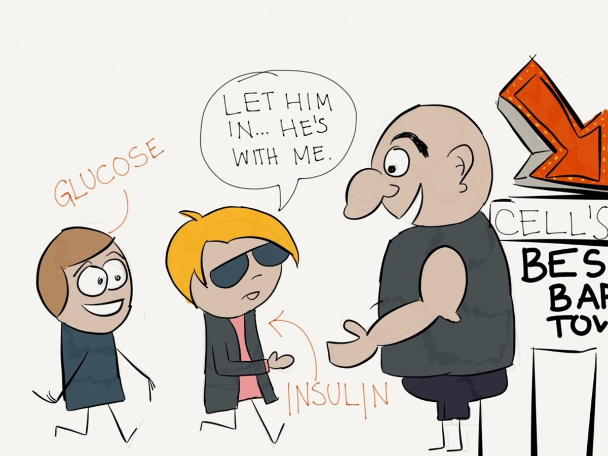 What is insulin? - And how to lower blood sugar naturally - HubPages