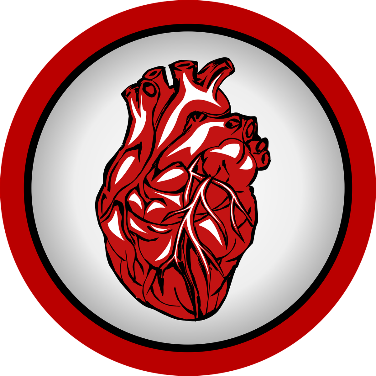 New Guidelines For Heart Disease HubPages New Guidelines For Heart Disease HubPages