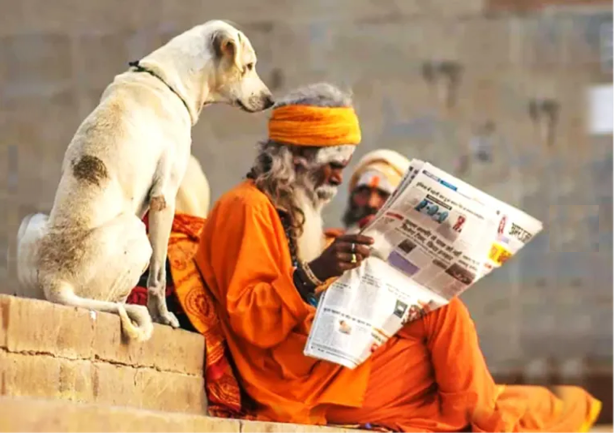 Ancient Dog Breeds of India & Their Legacy Through Time - HubPages