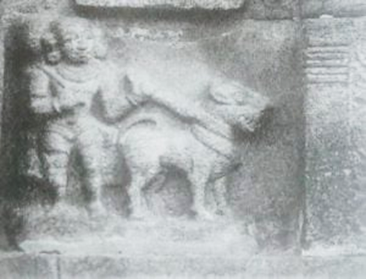 Ancient Dog Breeds of India & Their Legacy Through Time - HubPages