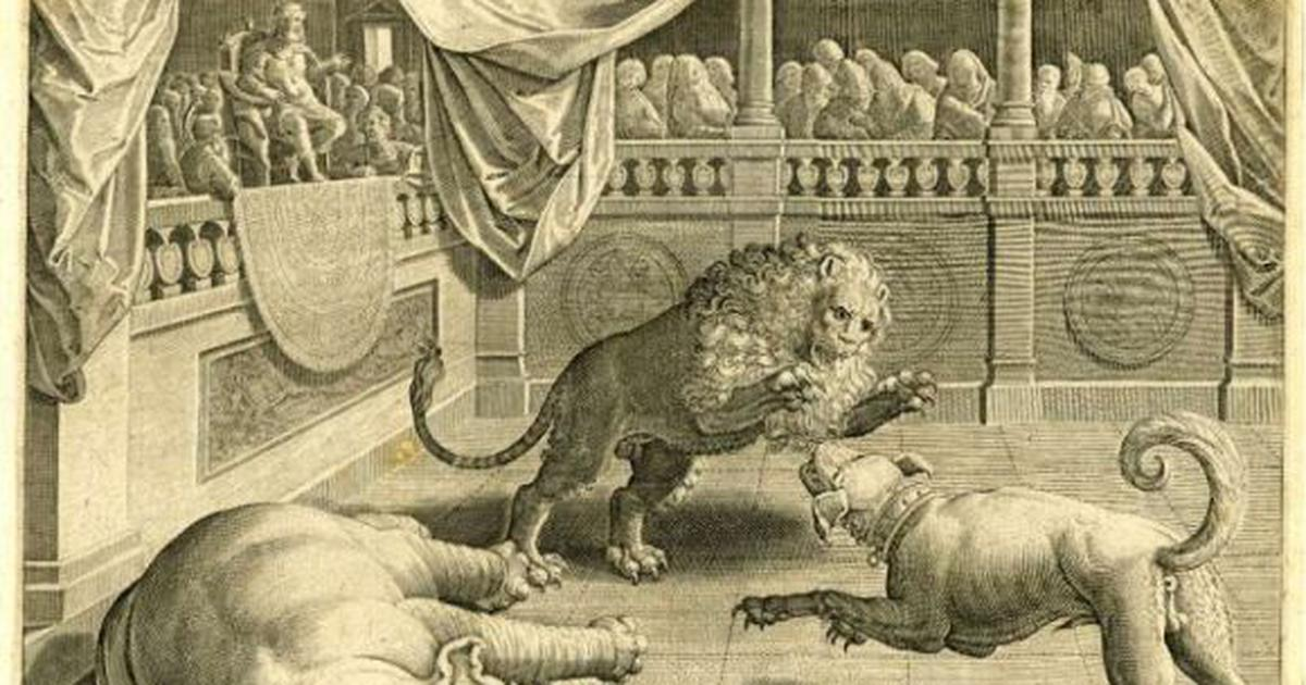 Ancient Dog Breeds of India & Their Legacy Through Time - HubPages