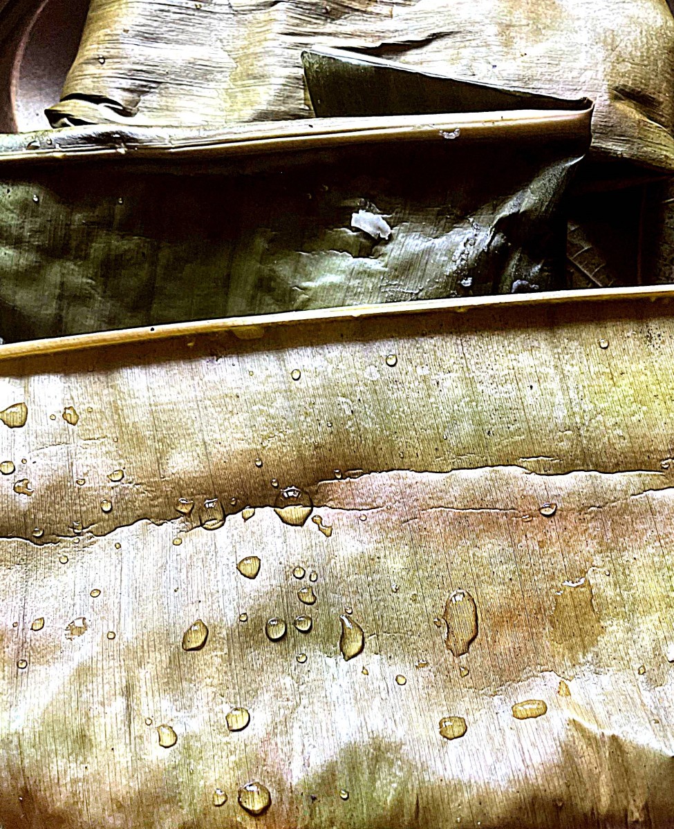 Happiness And Benefits of Cooking in Leaves From Our Backyard: An ...