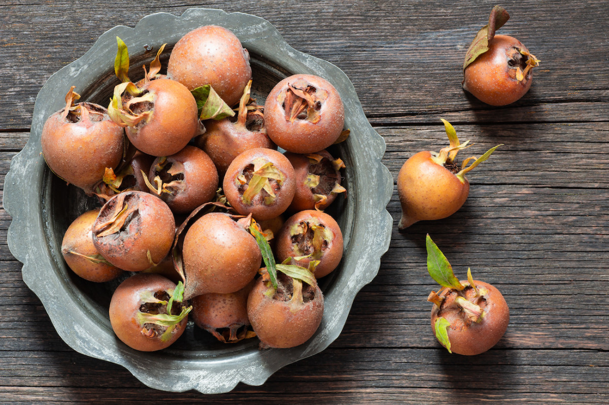 An Ancient Fruit That Must Rot To Be Eaten Was Once as Common as Apples ...