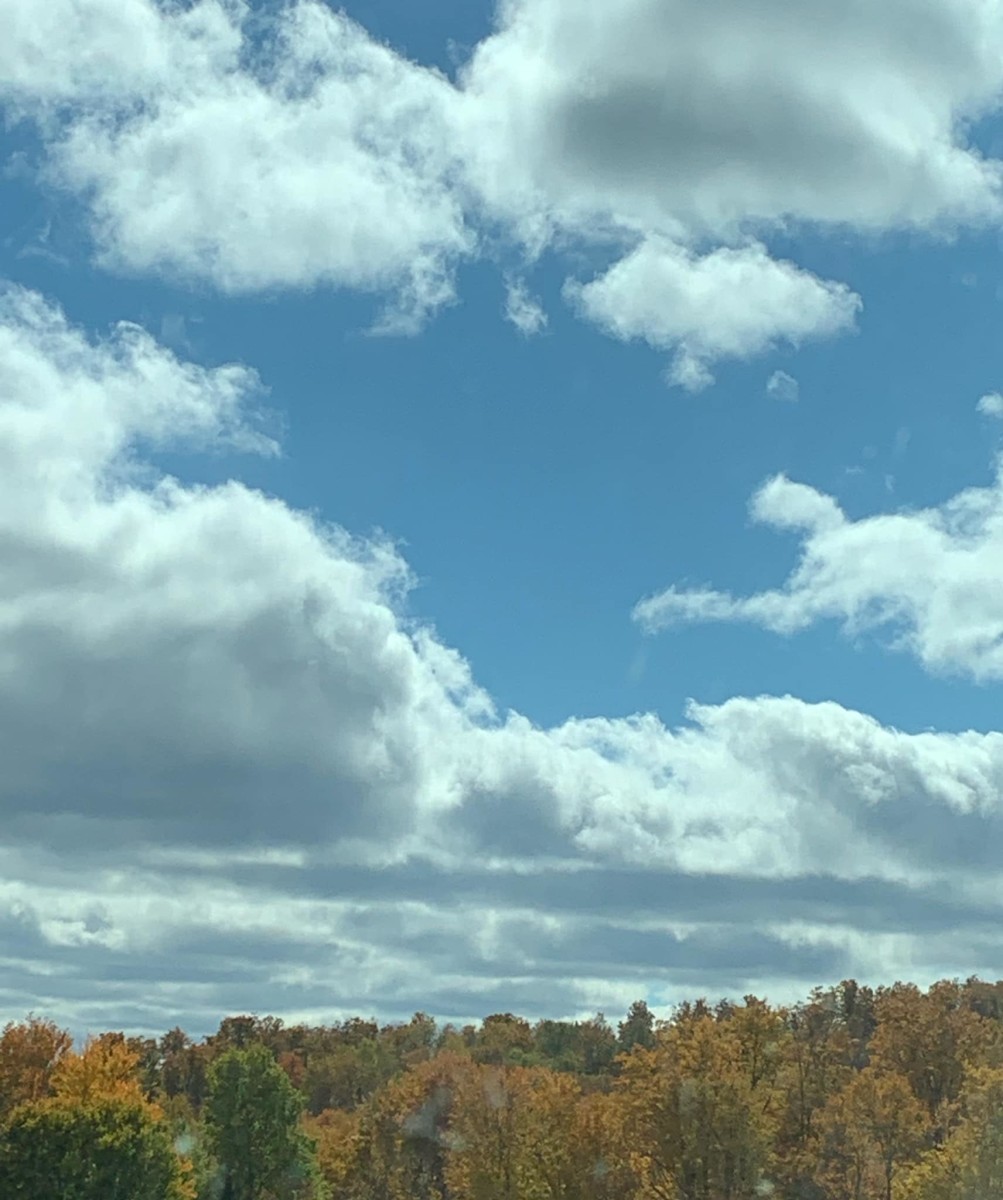 Is it Really Fall? - LetterPile