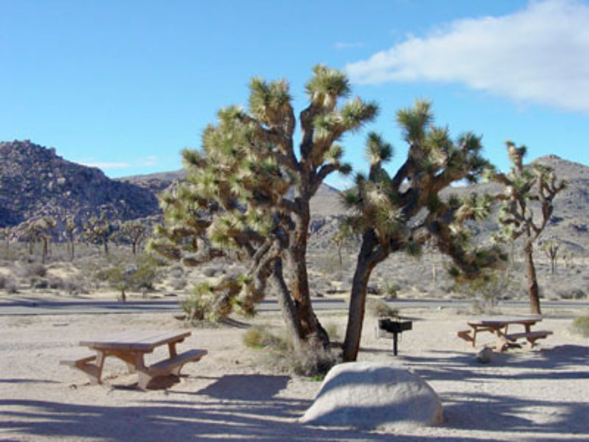 Top 10 Jobs and Attractions in Searchlight, Nevada - HubPages