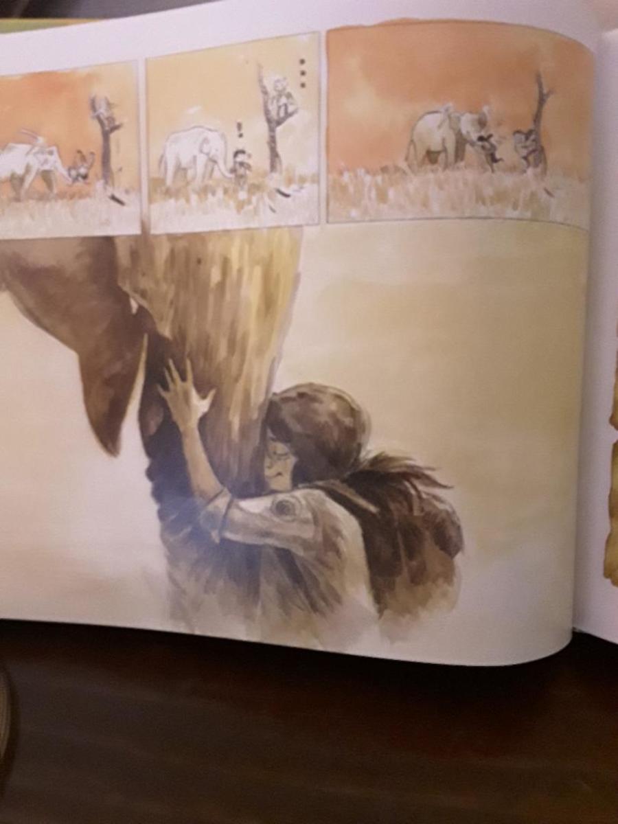 Elephant Rescue Told in Gorgeously Illustrated Story of Saving H'non ...