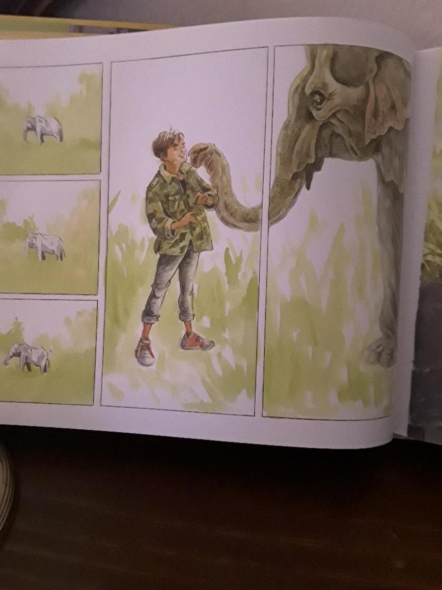 Elephant Rescue Told in Gorgeously Illustrated Story of Saving H'non ...