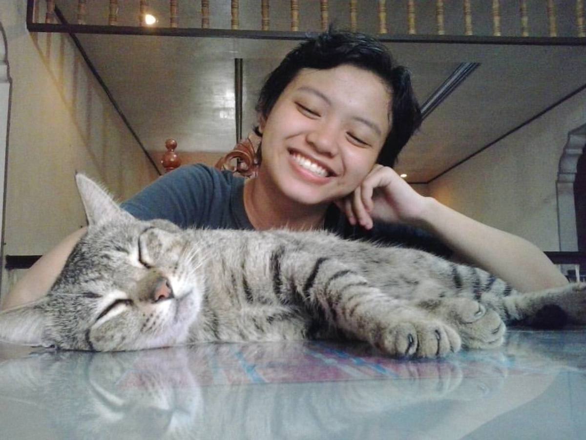 10 Life Lessons You Can Learn From Cats - HubPages