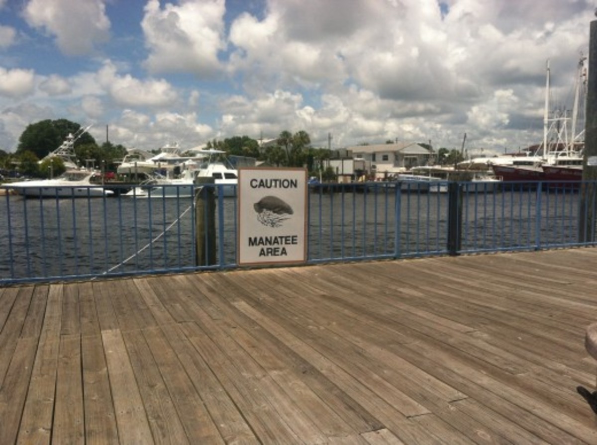 Tarpon Springs Sponge Docks Best Places to Visit - HubPages
