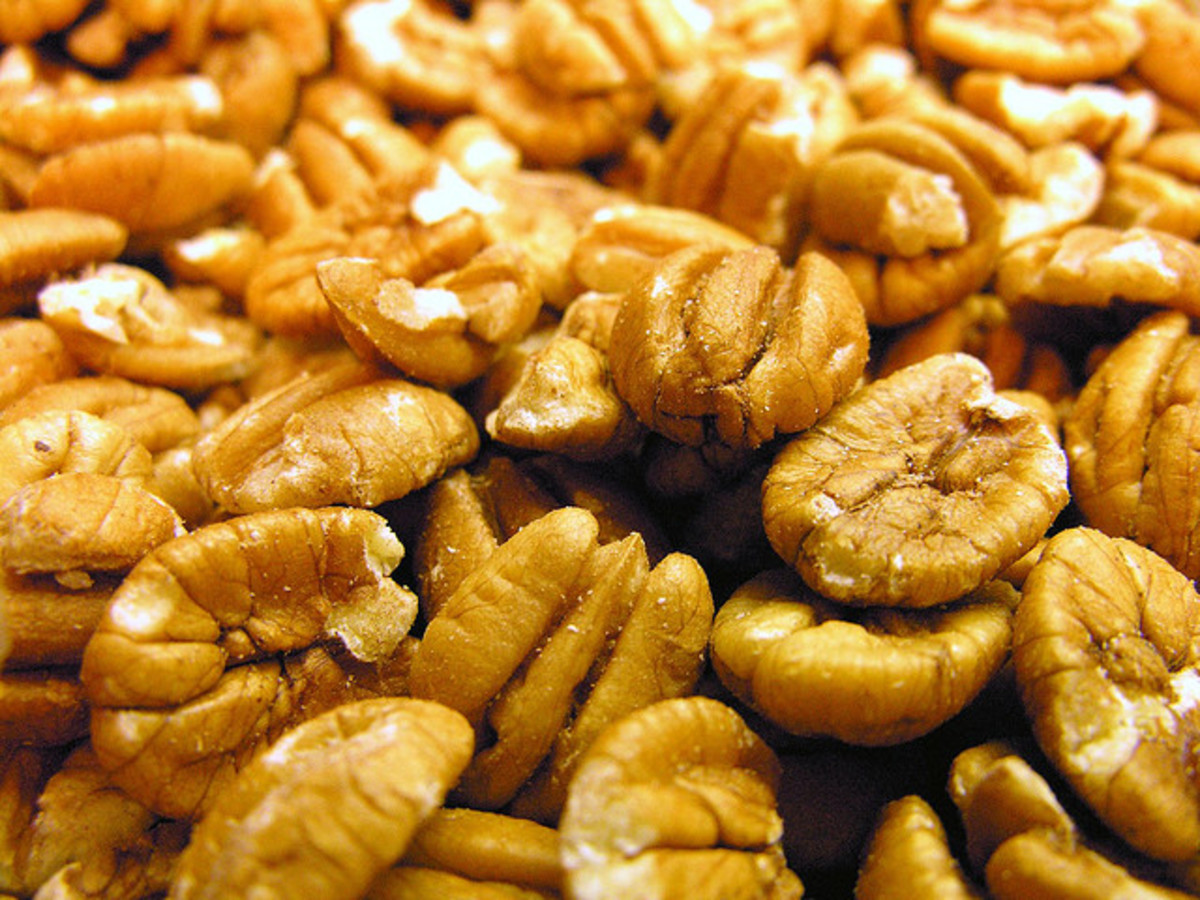 Why Tree Nuts Are So Good For You--Nutritious Morsels Offer ...