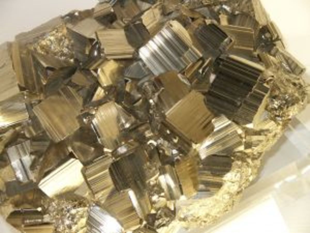 Free University Courses for Senior Citizens and Grandparents - HubPages