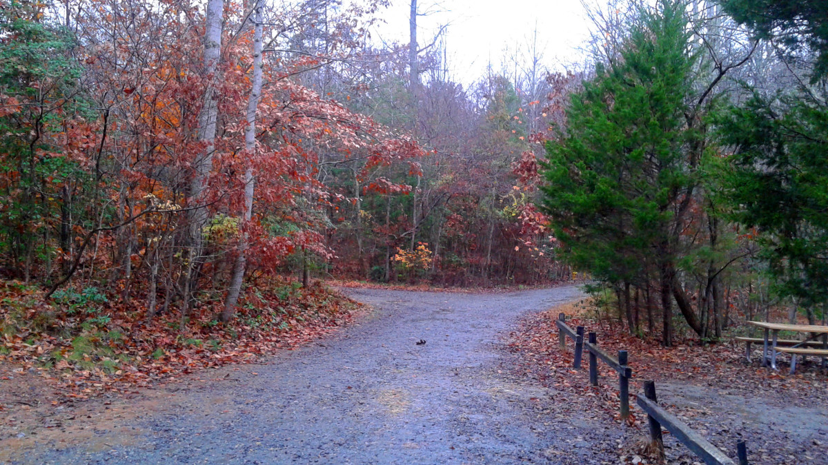 Samhain Retreat Review: 'Hallowed Homecoming' Pagan Gathering - HubPages
