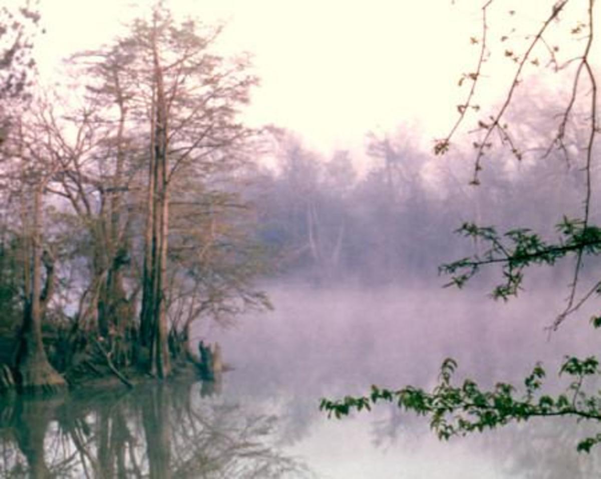 Life on the Fringe - 12: Anguish and Heartbreak - Caer to Conchobar Mac ...