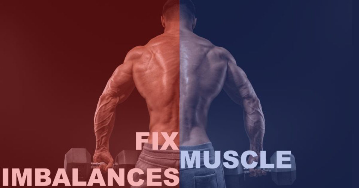 A Deeper Look Into Muscle Imbalances - HubPages