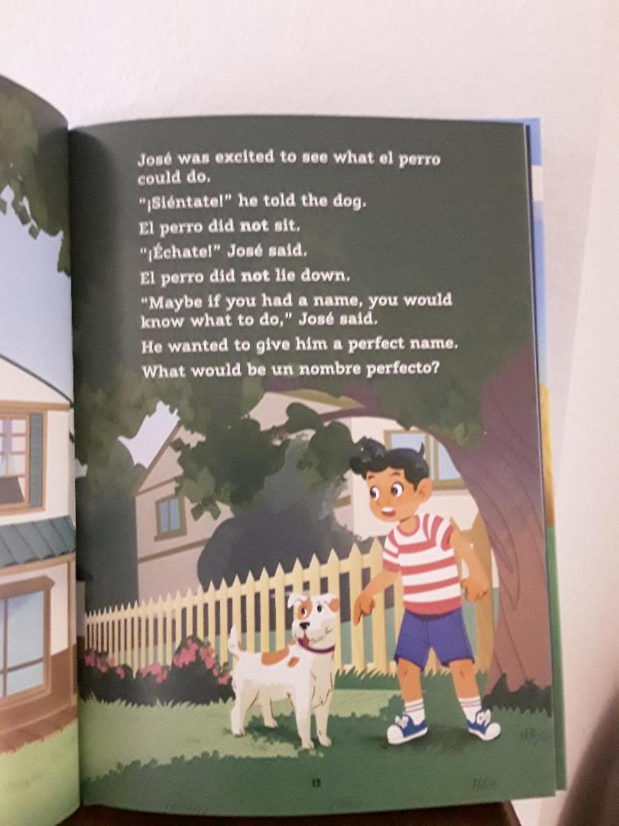 Spanish and English Together in 2 Easy To Read Stories With Jose and ...