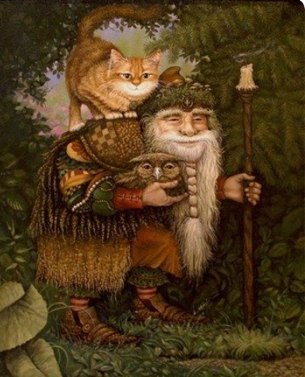 Unveiling the Enigma: The World's Top 8 Mysterious Elves - HubPages