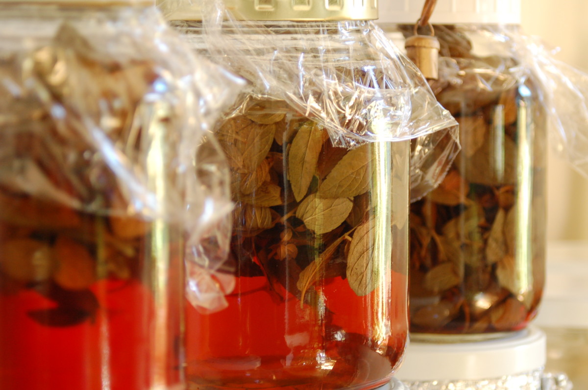 Homemade Herbal Tinctures - HubPages