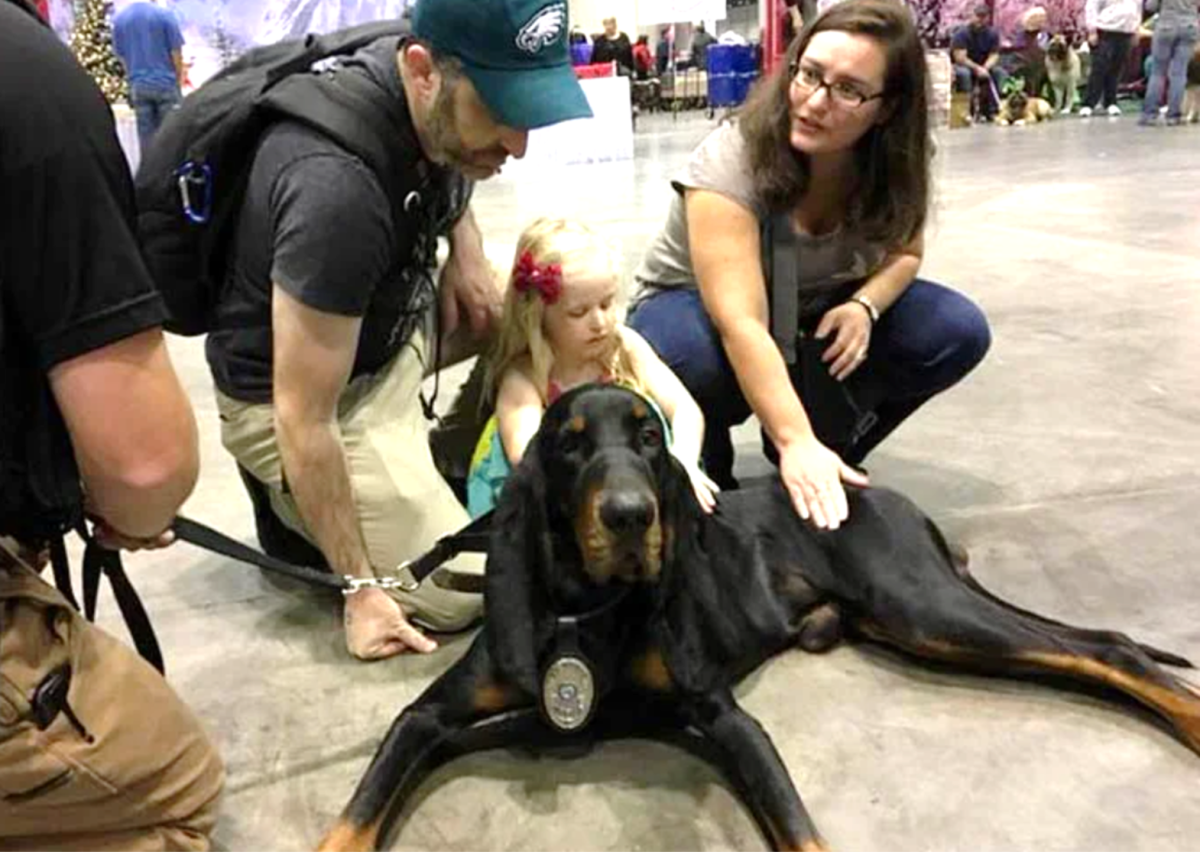 15 Best Detection Dog Breeds With Excellent Sense of Smell - HubPages