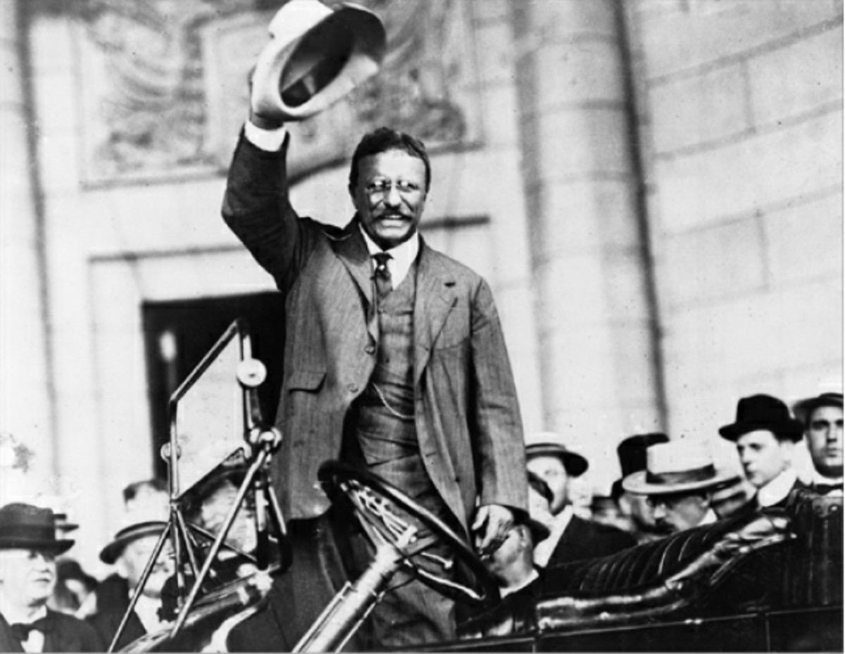 Theodore Roosevelt: Exploring the Achievements of America's 26th ...