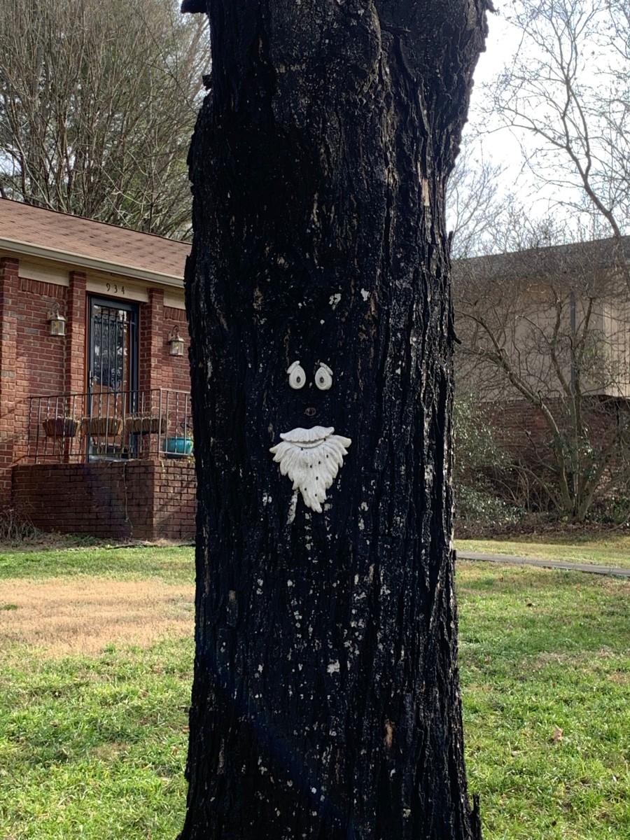 Tree Faces and Forest Faces - HubPages