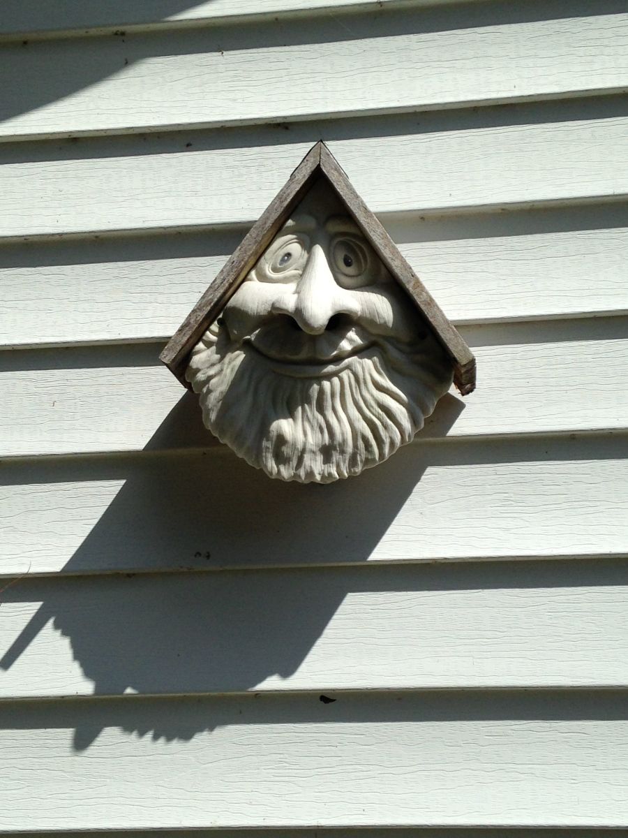 Tree Faces and Forest Faces - HubPages