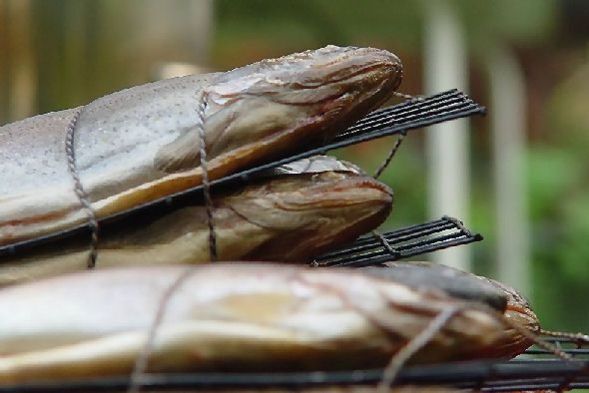 Trout - How to Smoke Your Trout in a Wood Burned Smoker - HubPages