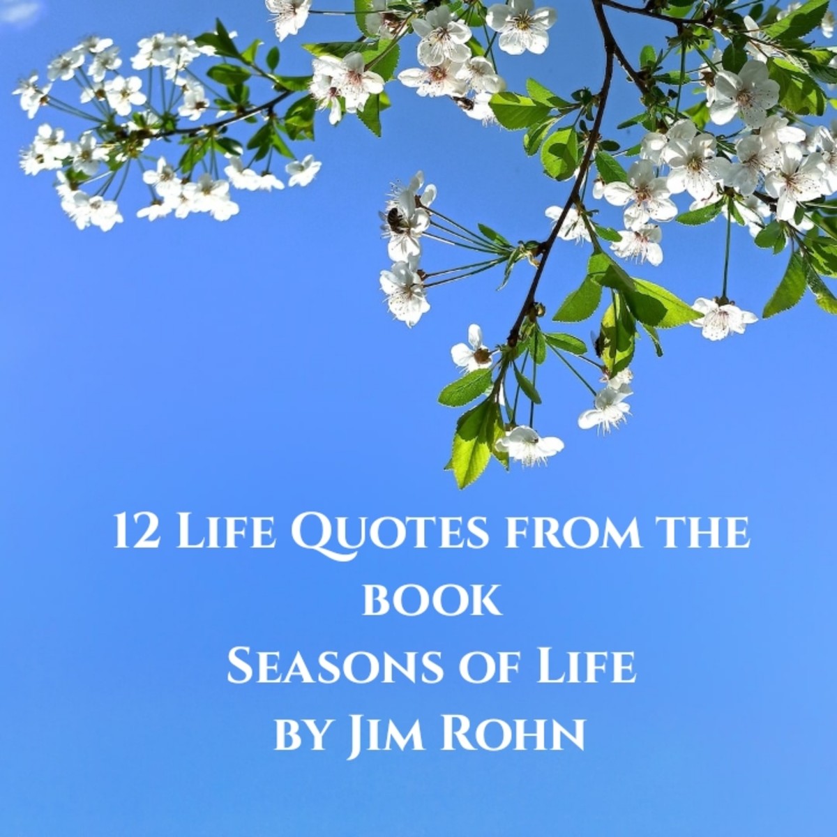 How to Live a Remarkable Life - HubPages