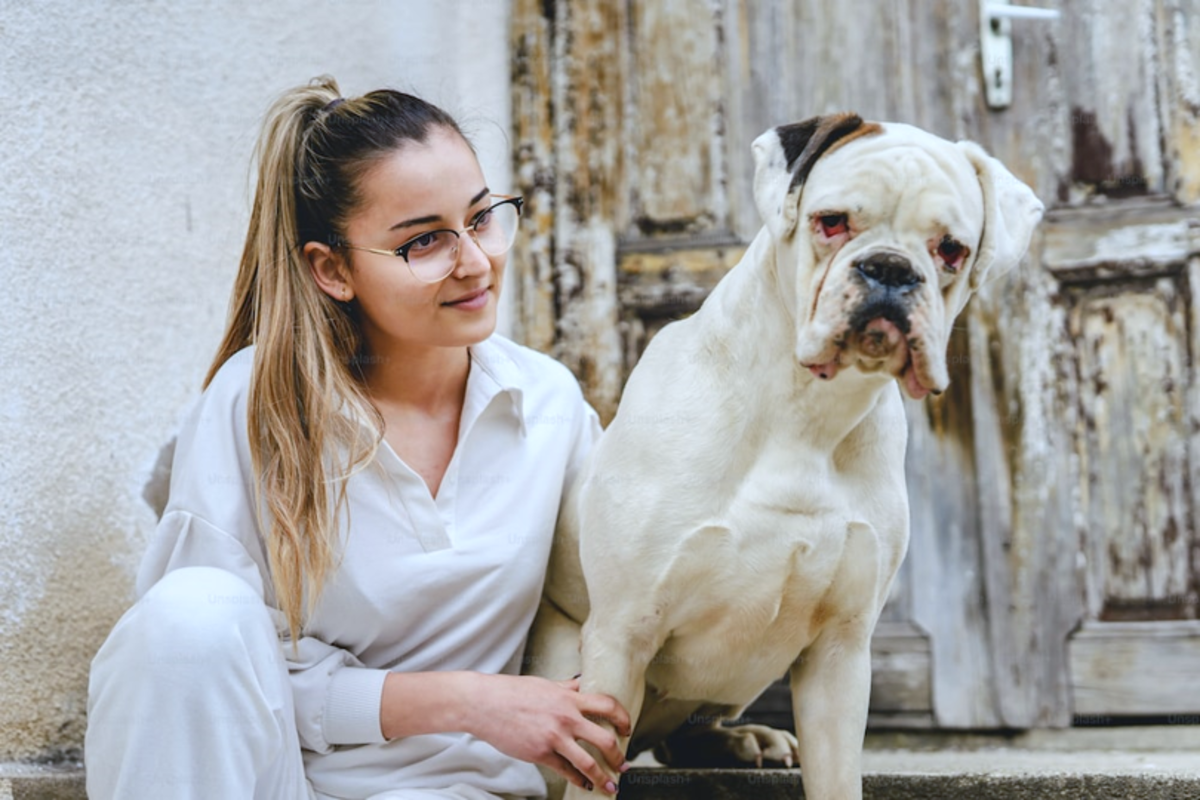 21 Best Therapy Dog Breeds - HubPages
