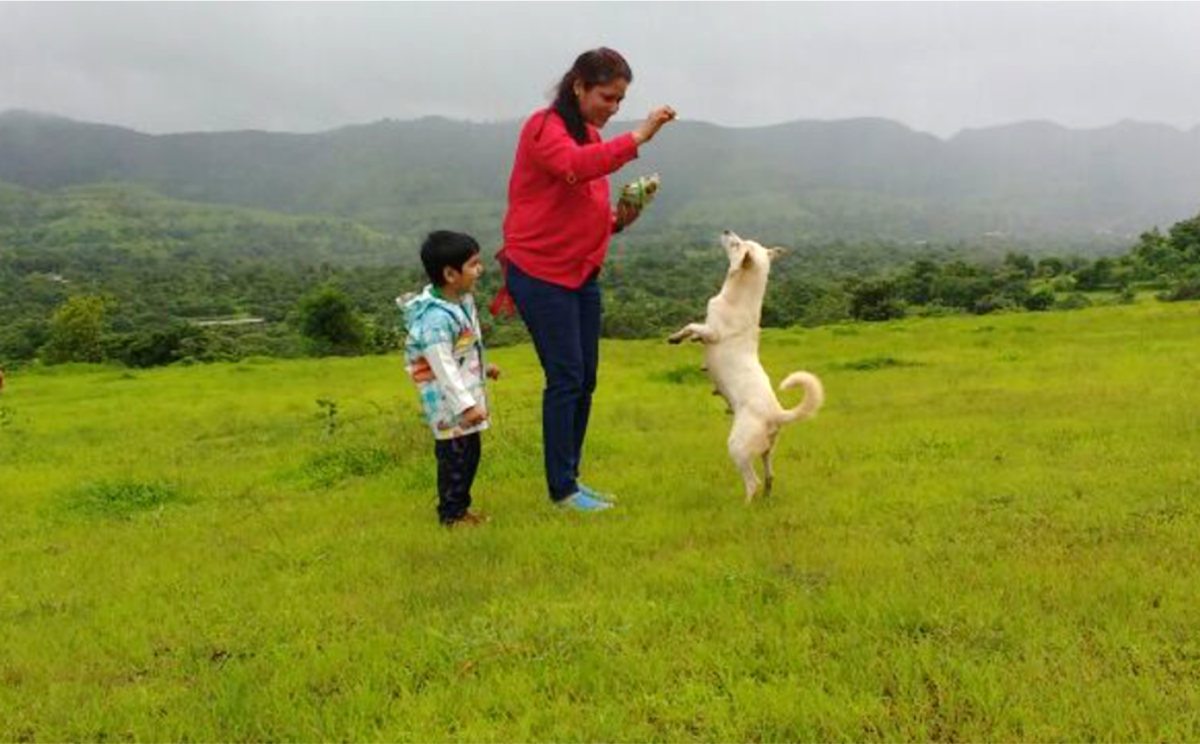 7 Best Indian Therapy Dog Breeds - HubPages