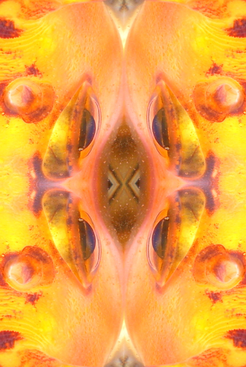 Easy Digital Art Technique: Symmetrical Abstract Patterns - HubPages