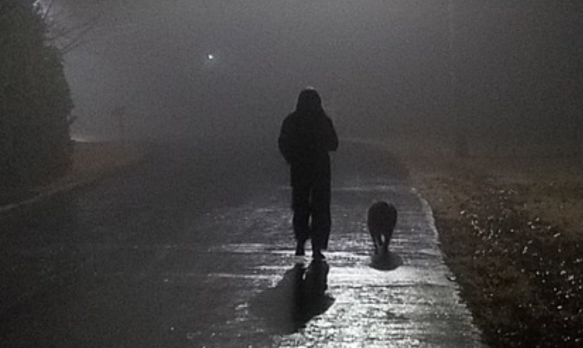 Why Is My Dog Waking in the Middle of the Night to Poop? - PetHelpful