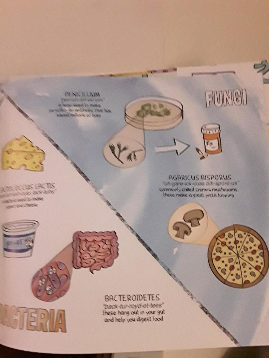 Germs Everywhere but Not All Bad as Featured in Creative Picture Book ...