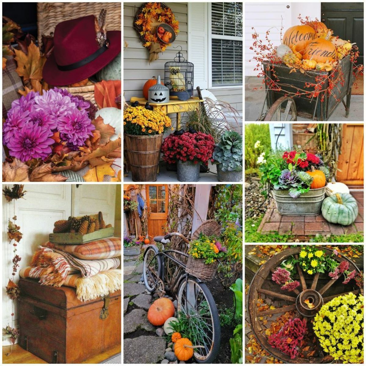 Quick Autumn Garden Ideas for Thanksgiving Day - HubPages