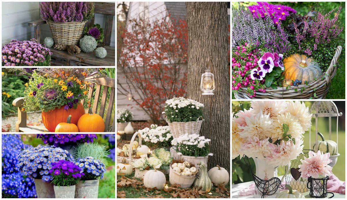 Quick Autumn Garden Ideas for Thanksgiving Day - HubPages