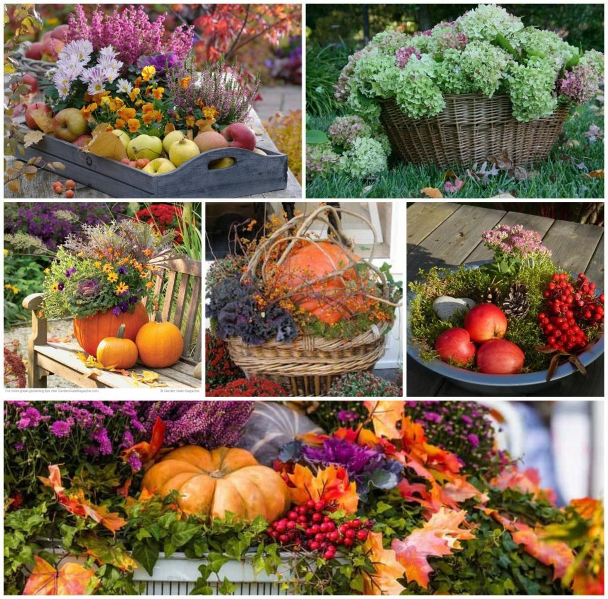 Quick Autumn Garden Ideas for Thanksgiving Day - HubPages